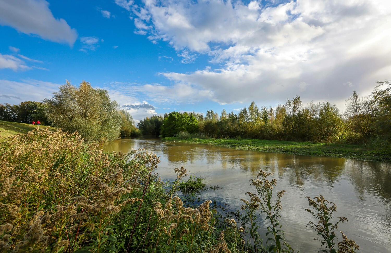 Nature Credits: Das ist der Fahrplan der • Table.Briefings